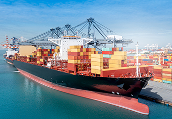 International Express Delivery | Homepage